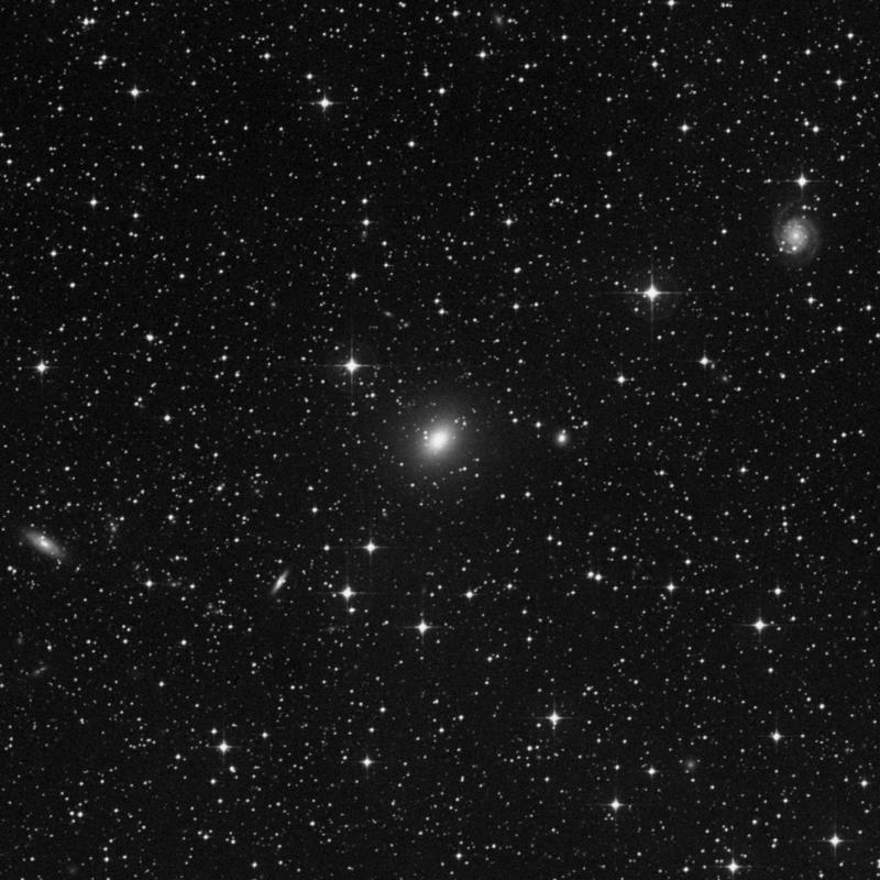 Constelación de Máquina Neumática