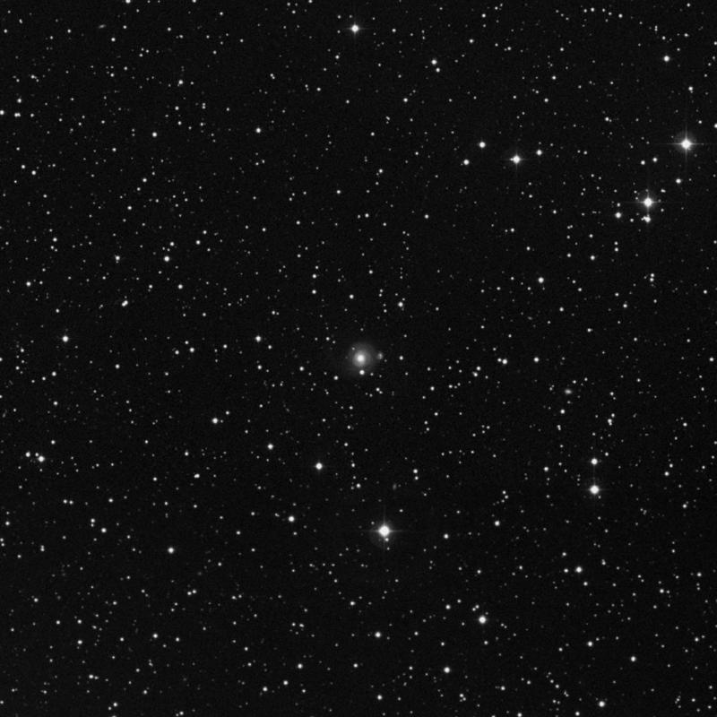 Constelación Canis Minor