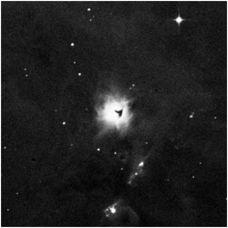 Constelación Orión